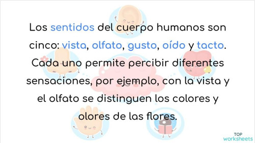Los sentidos de mi cuerpo. Ficha interactiva | TopWorksheets