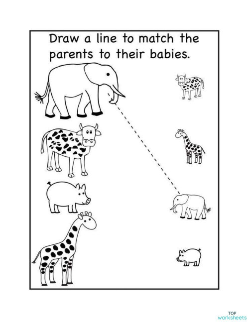 Grouping object - Size. Interactive worksheet | TopWorksheets