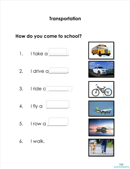 Practice more: Vocabulary. Interactive worksheet | TopWorksheets