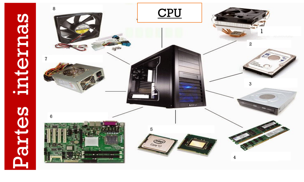 PARTES INTERNAS DEL CPU. Ficha interactiva | TopWorksheets