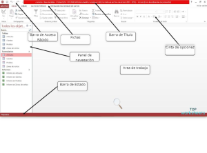 Partes de la ventana de Access. Ficha interactiva | TopWorksheets