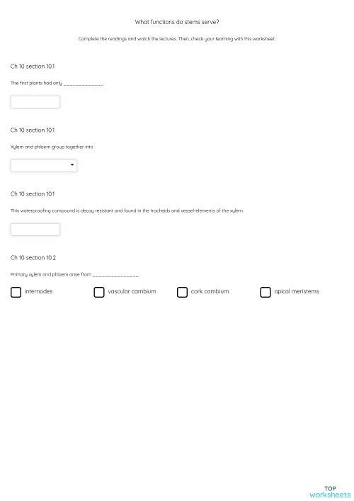 What functions do stems serve?. Interactive worksheet | TopWorksheets