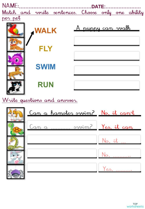 WHAT CAN IT DO? STANDARD LEVEL. Interactive worksheet | TopWorksheets