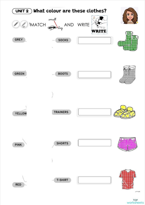 MATCH AND WRITE. Interactive worksheet | TopWorksheets