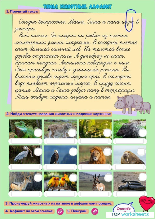 Interactive worksheets and online exercises in russian | TopWorksheets