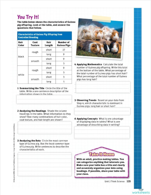 3/4 Interpreting Graphs. Interactive worksheet | TopWorksheets