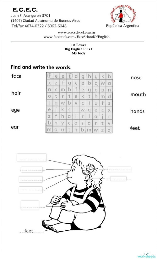 HW 10/08 - Body parts. Interactive worksheet | TopWorksheets