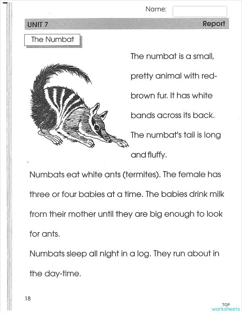 Unit 7 The Numbat. Interactive worksheet | TopWorksheets