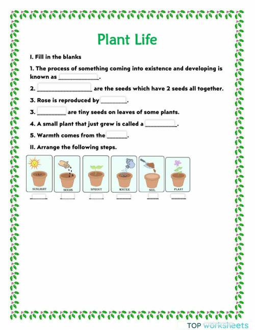 Plant Life Grade 5 ACTIVITY. Interactive worksheet | TopWorksheets