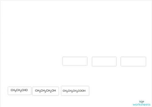 BoPo BEGINNER 1 TEST. Interactive worksheet | TopWorksheets