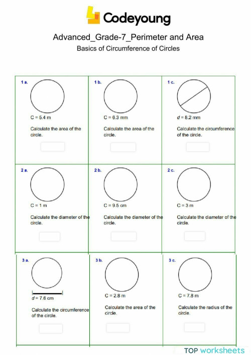Basics of Circumference of Circles Advanced. Interactive worksheet ...