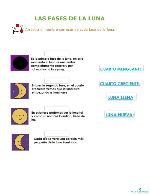 Fases de la luna.. Ficha interactiva | TopWorksheets