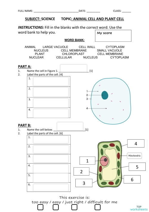 1st worksheet. Interactive worksheet | TopWorksheets