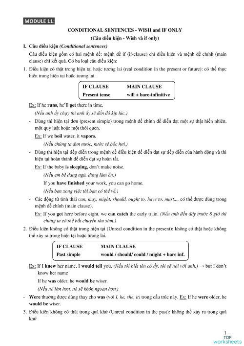 GRADE 9 _ CONDITIONAL SENTENCES (IF/WISH). Interactive worksheet ...