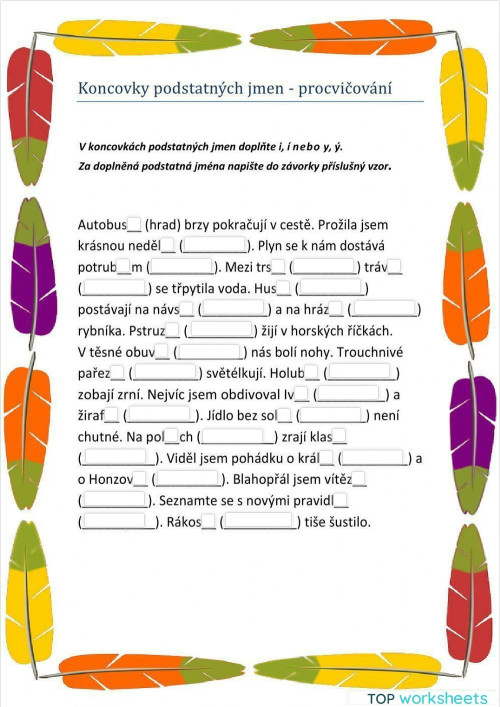 Koncovky podstatných jmen - procvičování. Interaktivní pracovní list ...