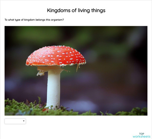 Kingdoms of living things. Interactive worksheet | TopWorksheets