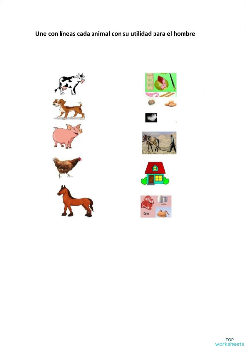 SERES VIVOS E INERTES: fichas interactivas y ejercicios online ...