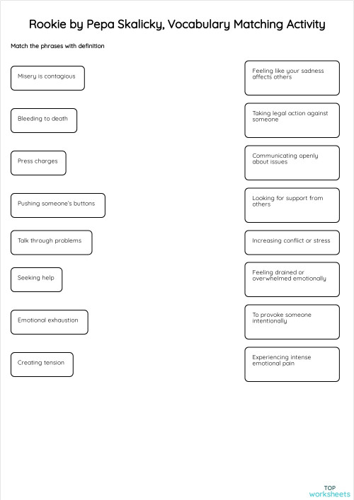 Rookie by Pepa Skalicky, Vocabulary Matching Activity. Interactive ...