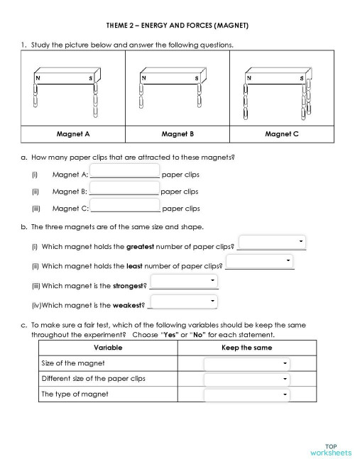 Year 5 Science Revision: Magnets. Interactive worksheet | TopWorksheets