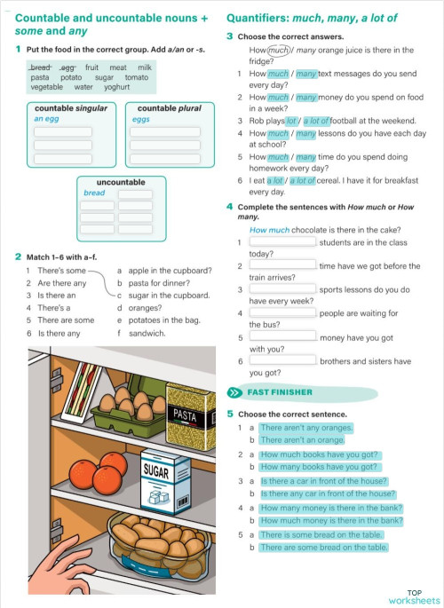 Much, many, a lot of. Interactive worksheet | TopWorksheets