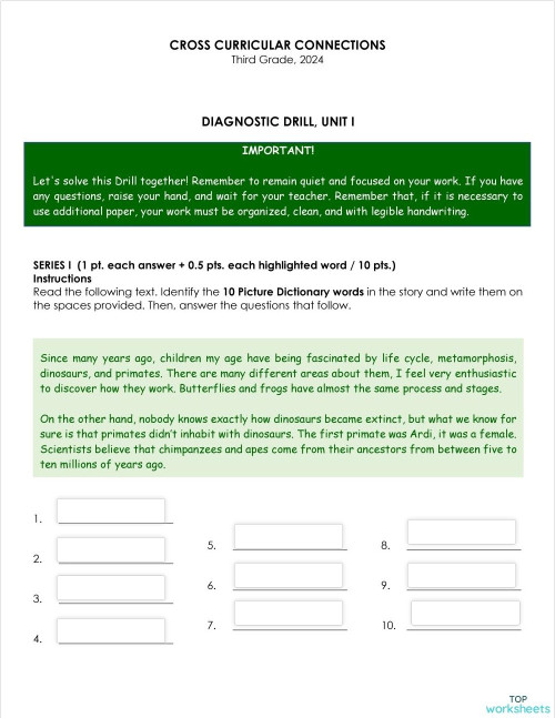 Insight 1E B1 Unit 1 Review. Interactive worksheet | TopWorksheets