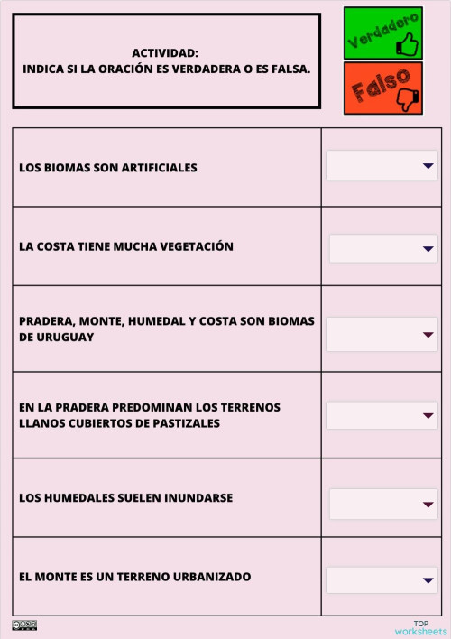 VERDADERO O FALSO. Ficha interactiva | TopWorksheets