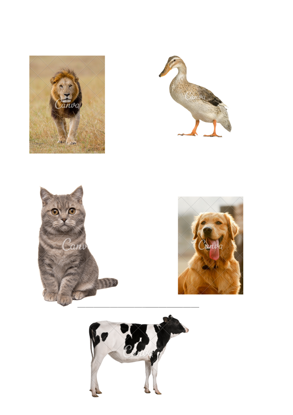 Animals vocabulary. Interactive worksheet | TopWorksheets