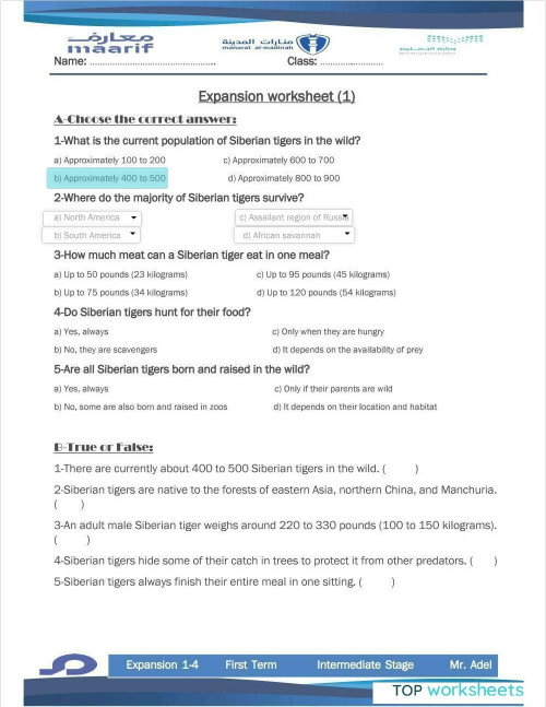 Super Goal 3 Expansion 1-4 lesson 1. Interactive worksheet | TopWorksheets