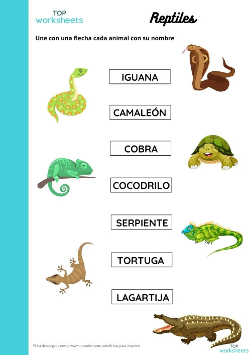REPTILES -. Ficha interactiva | TopWorksheets