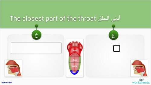 articulation of ي,ش,ج & their properties. Interactive worksheet ...