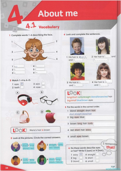 Face and hair. Interactive worksheet | TopWorksheets