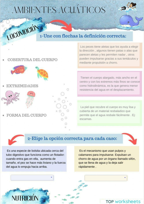 Animales acuáticos. Ficha interactiva | TopWorksheets