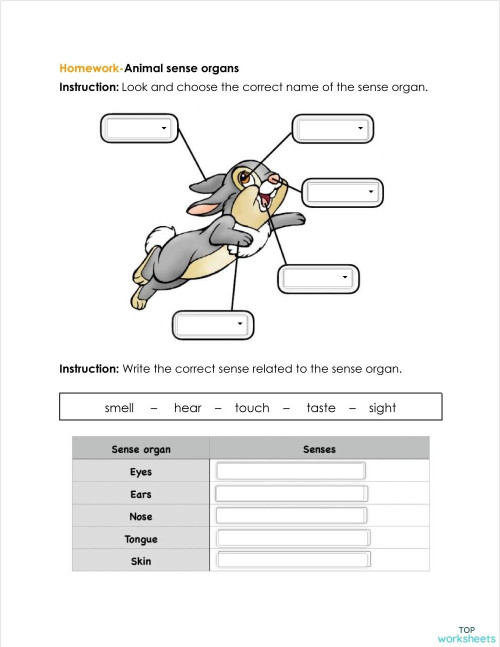Homework-Animal sense organs. Interactive worksheet | TopWorksheets