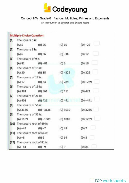 An Introduction to Squares and Square Roots Concept HW. Interactive ...