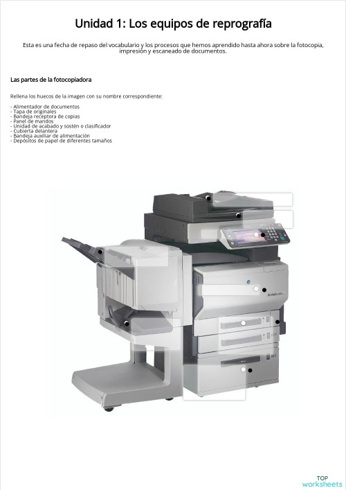 Unidad 1: Los equipos de reprografía. Ficha interactiva | TopWorksheets