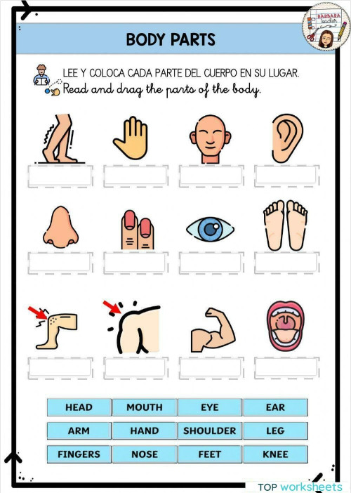 Parts of the body drag and drop. Interactive worksheet | TopWorksheets