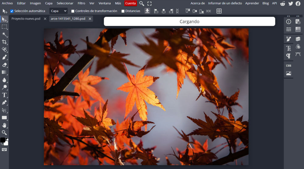 PHOTOPEA - III Bimestre 01 - ENTORNO. Ficha interactiva | TopWorksheets
