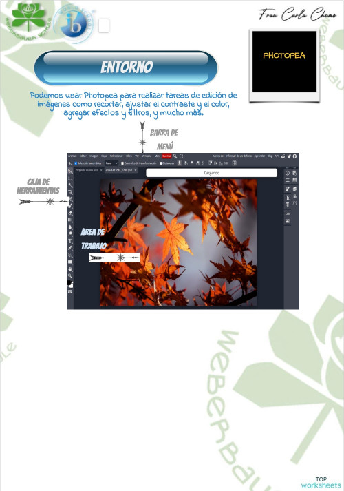 PHOTOPEA - III Bimestre 01 - ENTORNO. Ficha interactiva | TopWorksheets