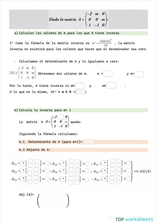 Cálculo de la inversa. Ficha interactiva | TopWorksheets