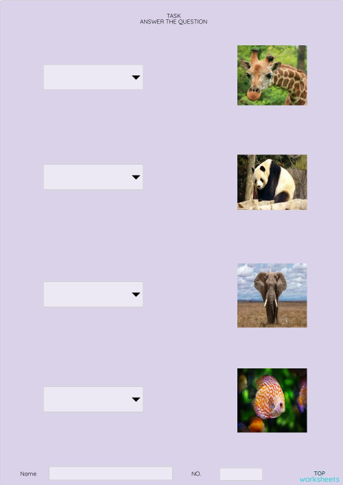 ANIMAL AIAIAI. Interactive worksheet | TopWorksheets