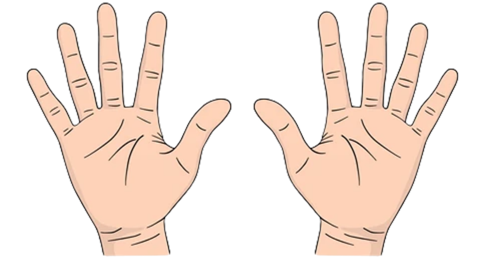 Lesson 52 (Level 2). Interactive worksheet | TopWorksheets