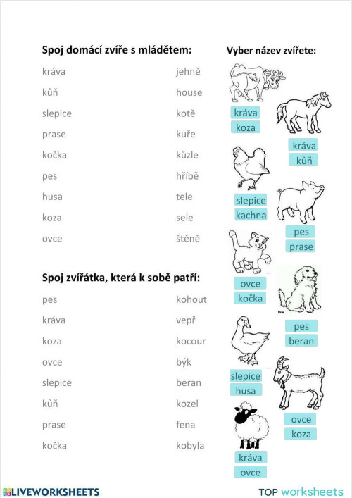 Zvířata a jejich mláďata. Interaktivní pracovní list | TopWorksheets