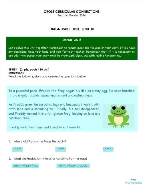 III cross 2, DD. Interactive worksheet | TopWorksheets