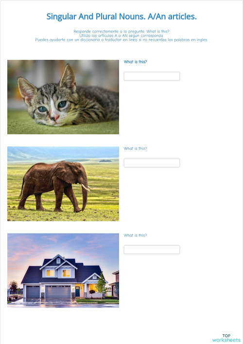 Singular And Plural Nouns. A/An articles.. Ficha interactiva ...