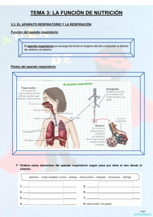 La función de nutrición . Ficha interactiva | TopWorksheets