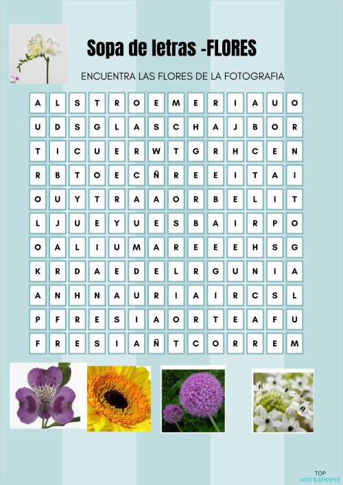 SOPA DE LETRAS ENCUENTRA ESTAS 5 FLORES. Ficha interactiva | TopWorksheets