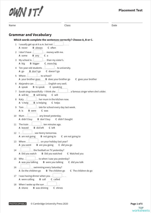 Grammar and vocabulary placement test. Interactive worksheet ...