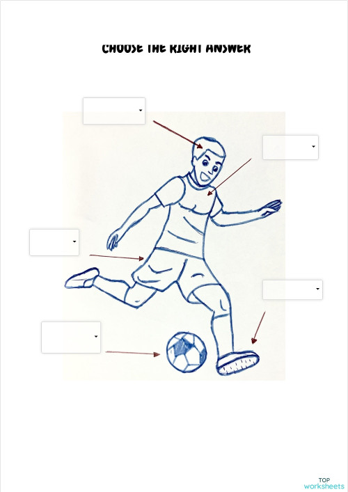 CHOSE THE RIGHT ANSWER. Interactive worksheet | TopWorksheets