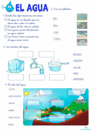 Estados del agua y ciclos . Ficha interactiva | TopWorksheets