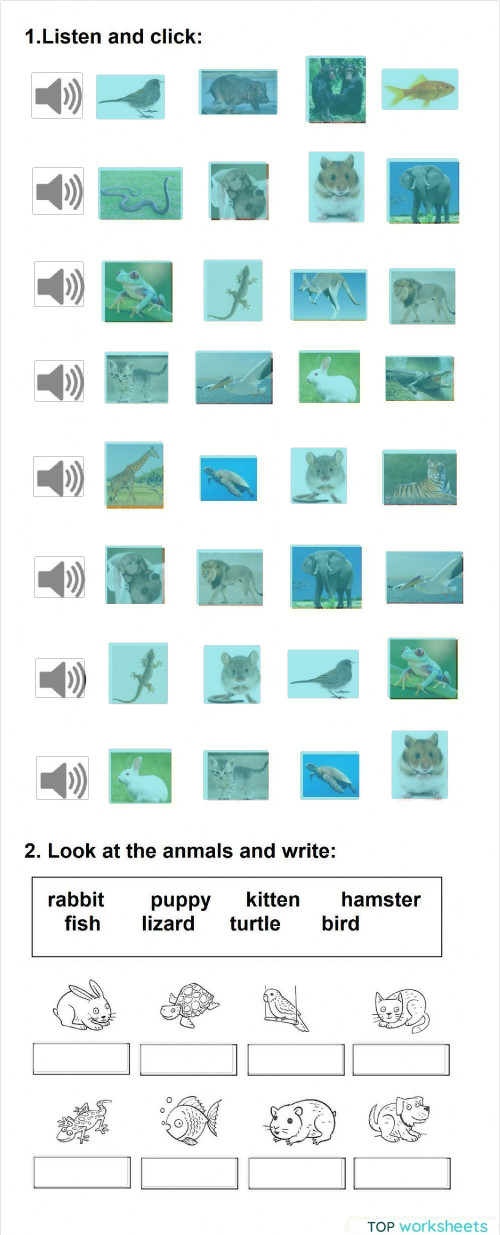 Tiger 2 - Unit 5 - Animals. Interactive worksheet | TopWorksheets